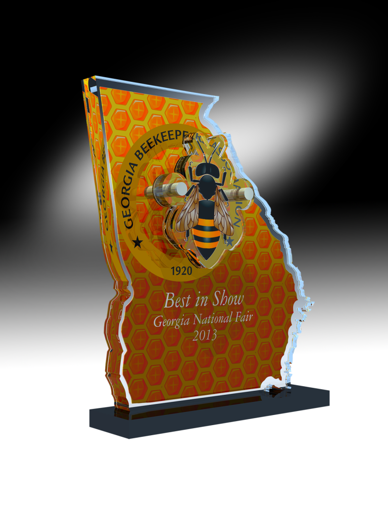 Custom Shaped Acrylic Award | Lane Award