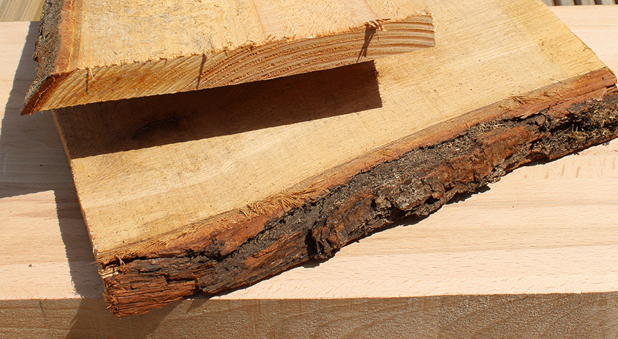 Sustainable/Eco-Friendly Award Options | Lane Award