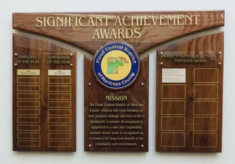 Yearly Recognition Award Wall Display | Lane Award