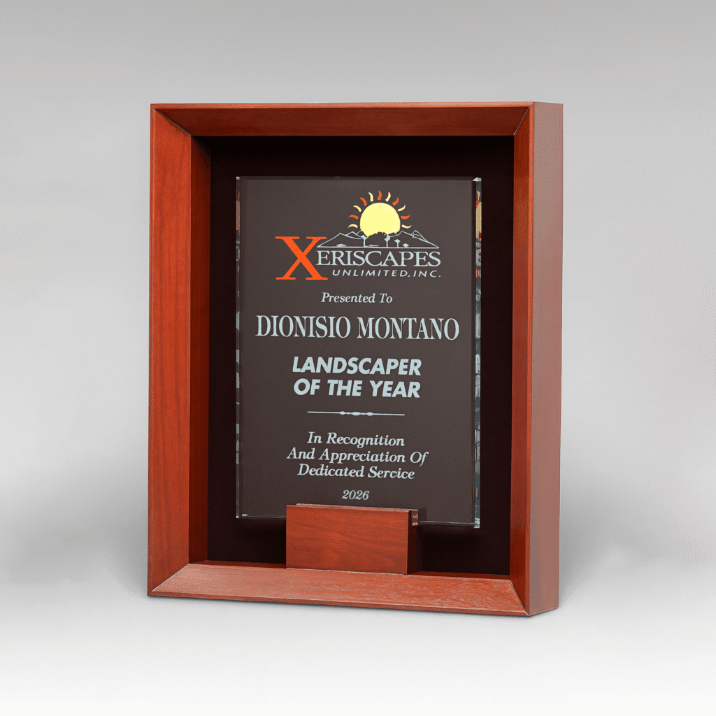 Inside Bevel Frame Award With Glass Insert | Lane Award